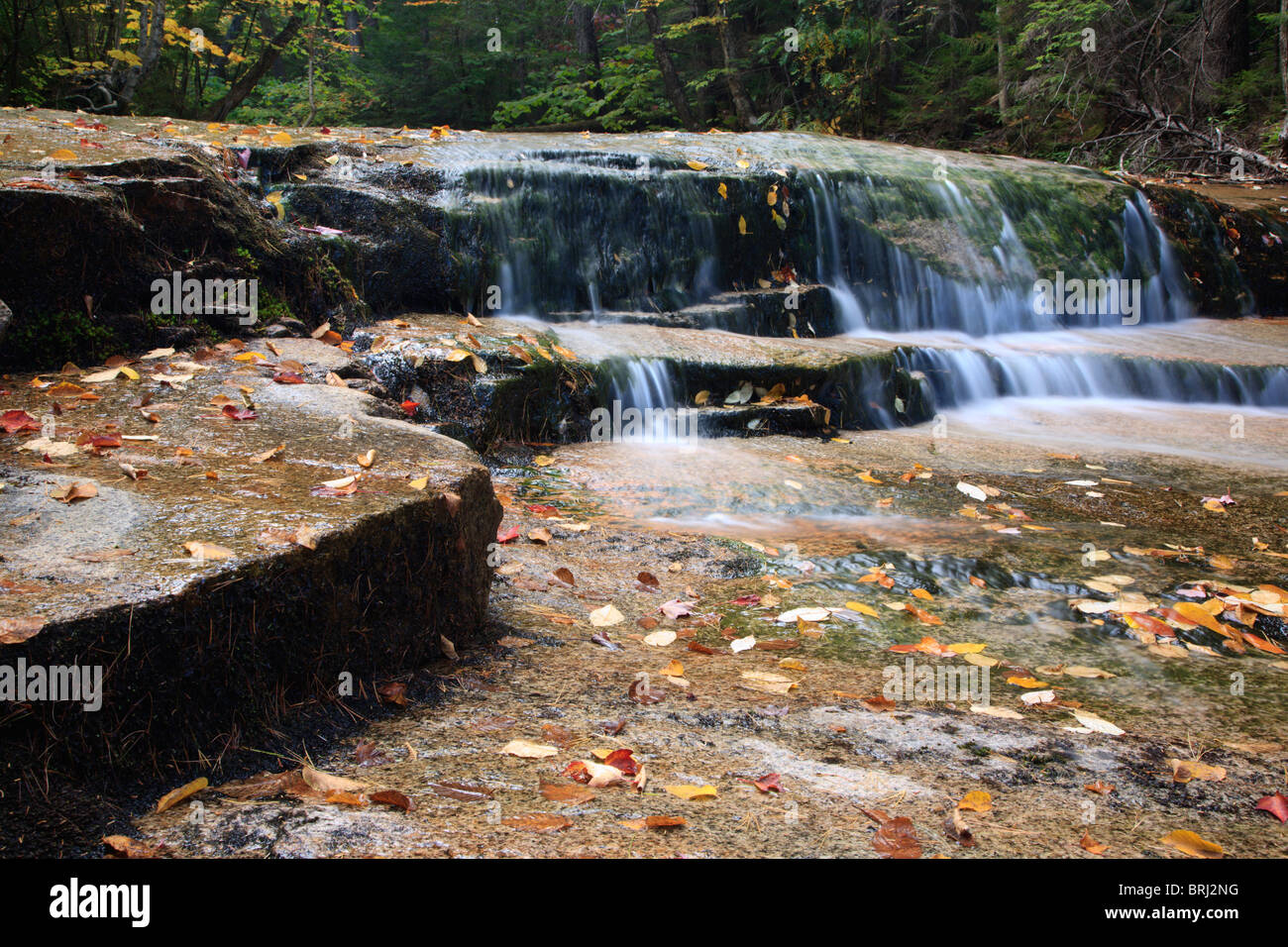 Ledge Brook during the autumn months along the Kancamagus Highway in ...