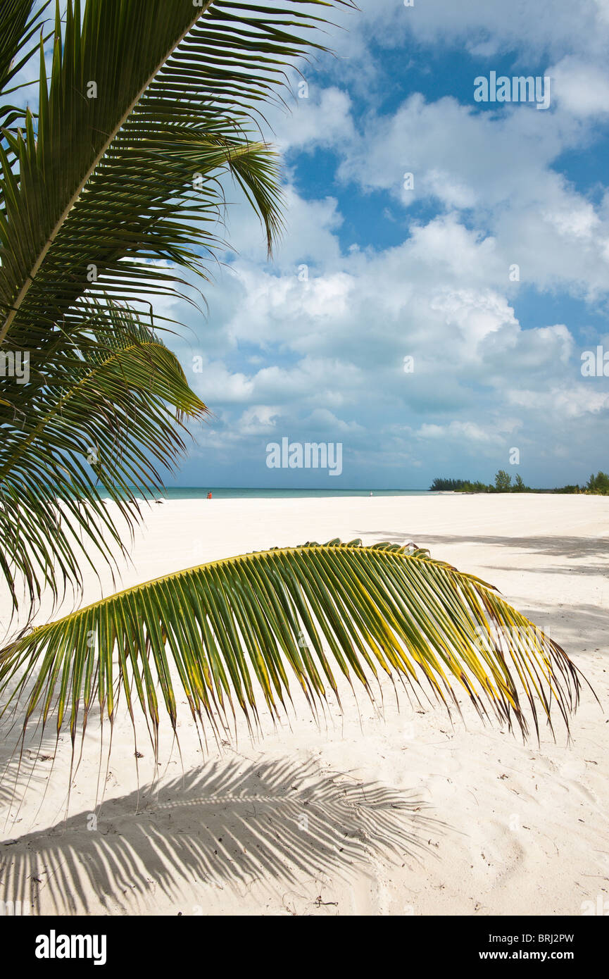 Mexico, Cozumel. Isla Pasion (Passion Island) off Isla de Cozumel ...