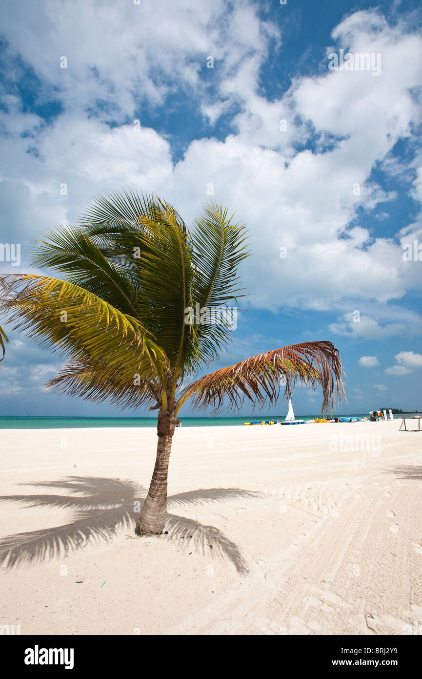 Mexico, Cozumel. Isla Pasion (Passion Island) off Isla de Cozumel ...