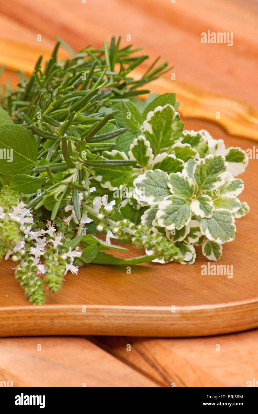 Herbs bunch mixed hi-res stock photography and images - Alamy