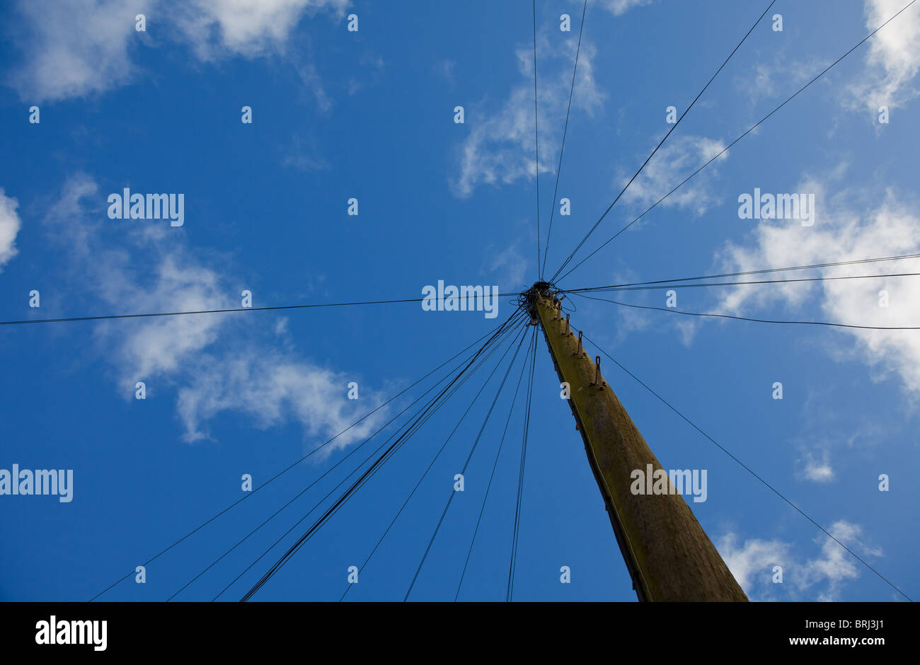 Communication wires connected to a telegraph pole Stock Photo - Alamy