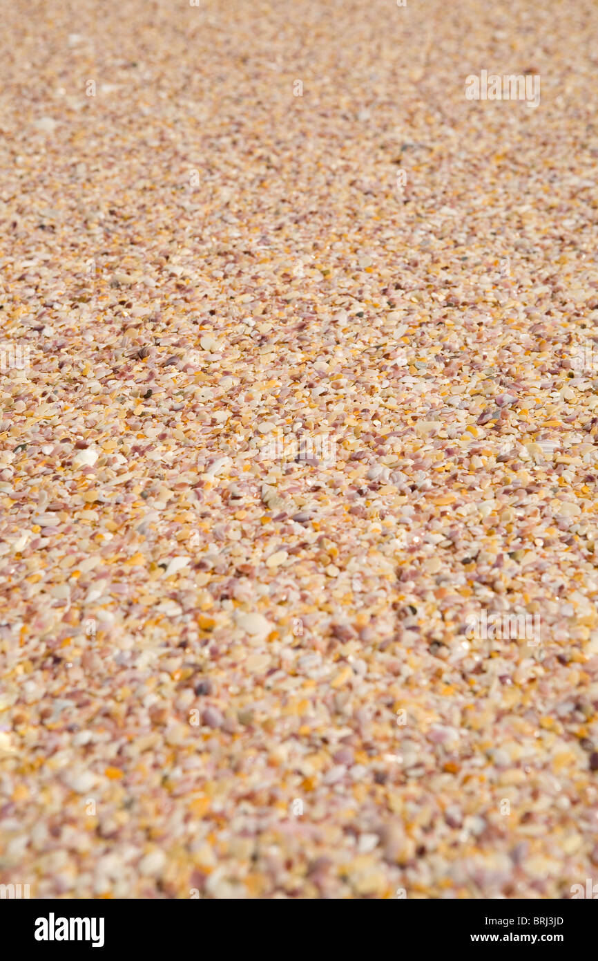 Shell shelly sand hi-res stock photography and images - Alamy