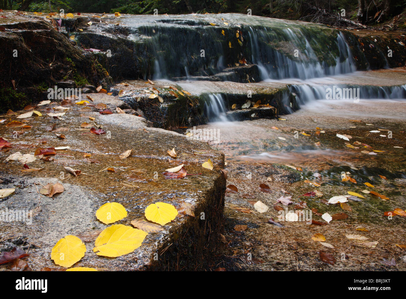 Ledge Brook during the autumn months, Located along the Kancamagus ...