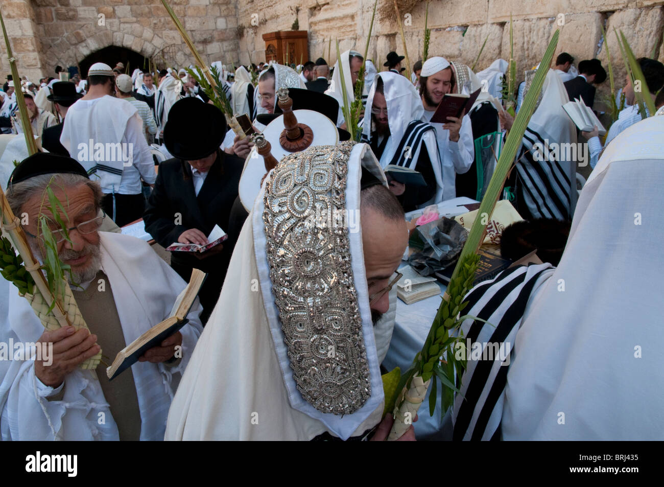 jews praying at the western wall during sukot festival. Jerusalem Stock ...