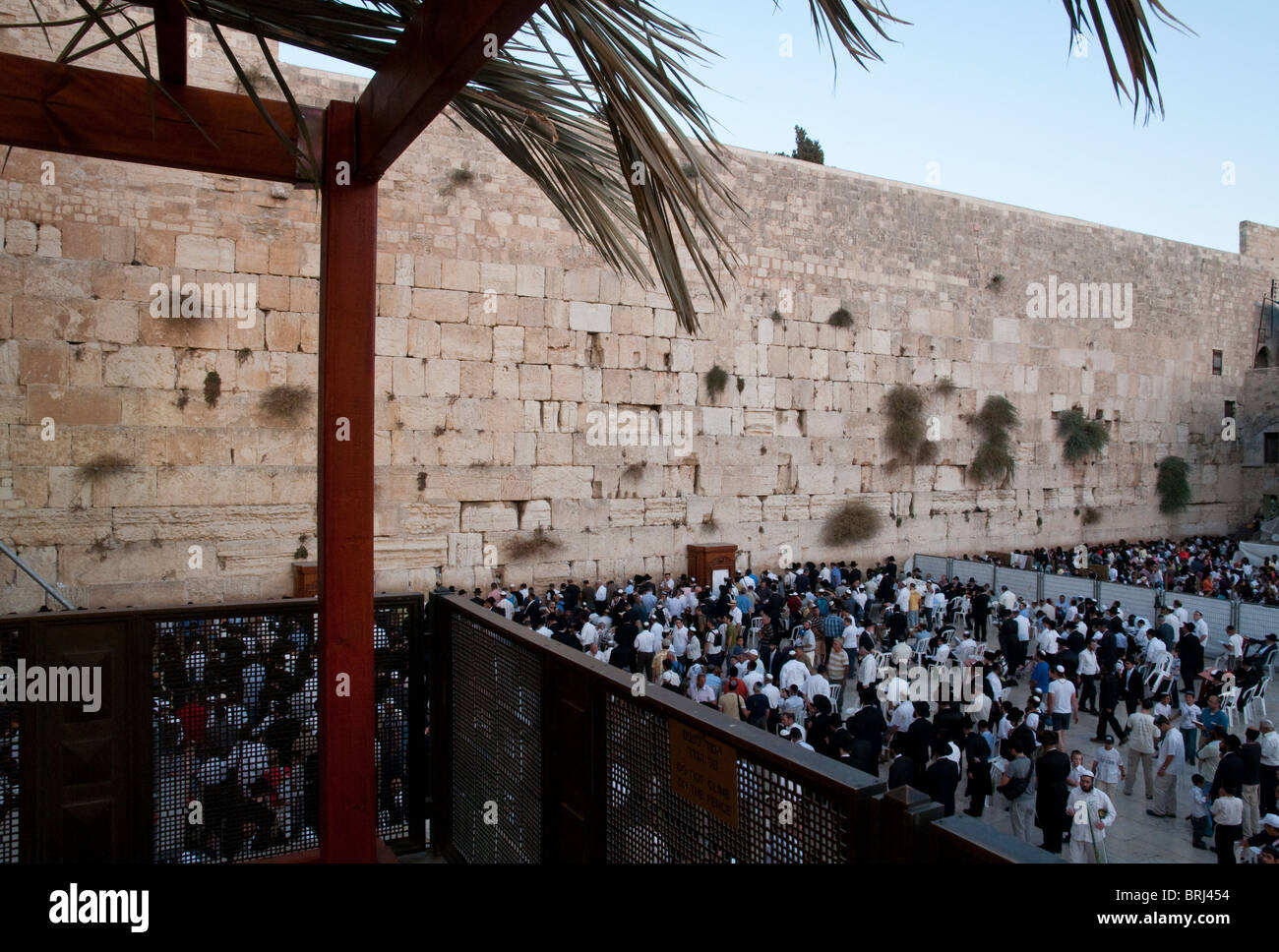 crowd of jews praying at the western wall. Jerusalem Stock Photo - Alamy