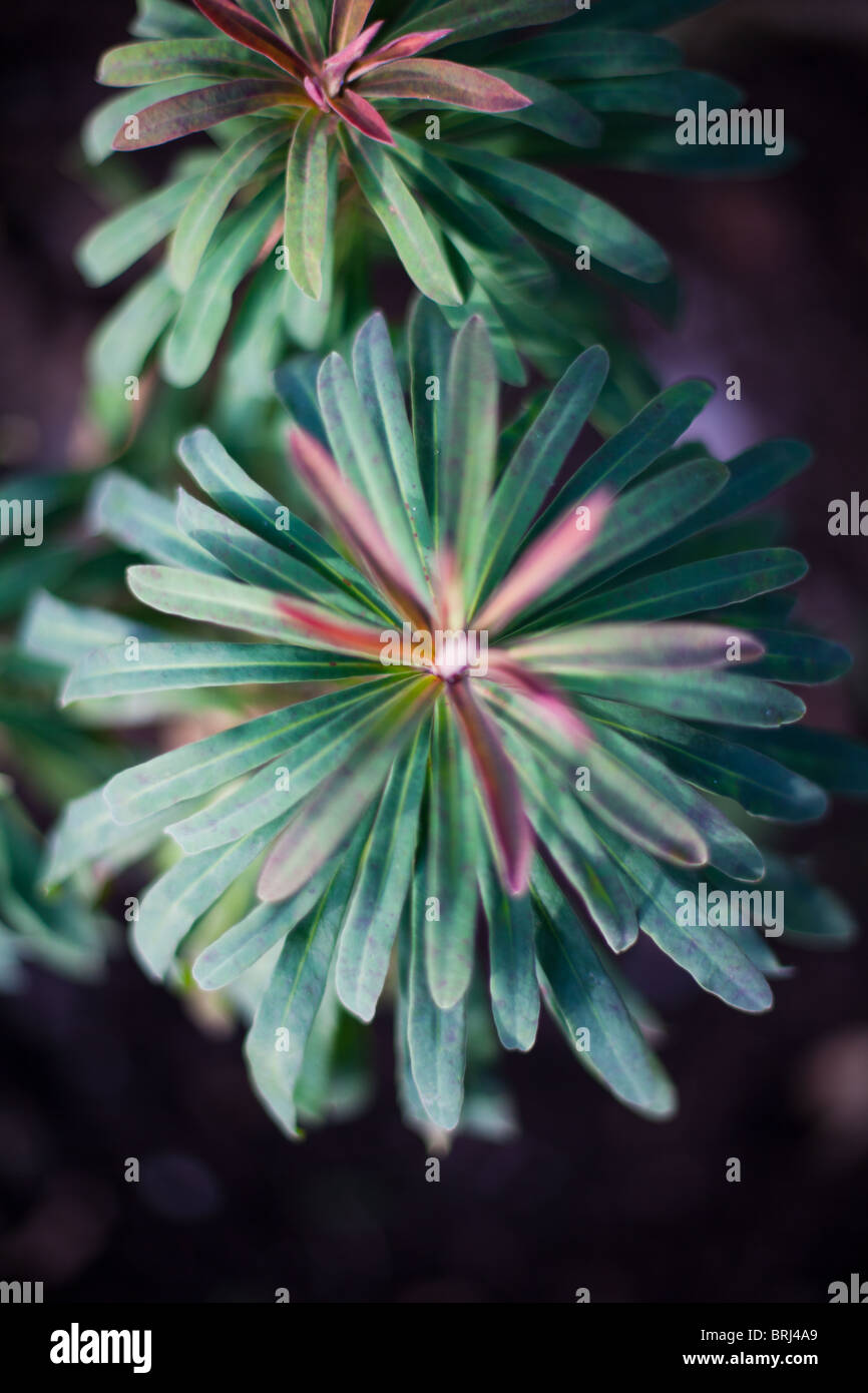 Depth of field shot hi-res stock photography and images - Alamy