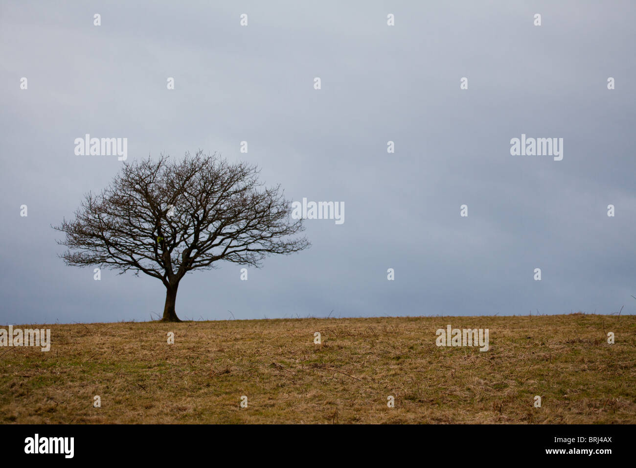 Simple classic hi-res stock photography and images - Alamy