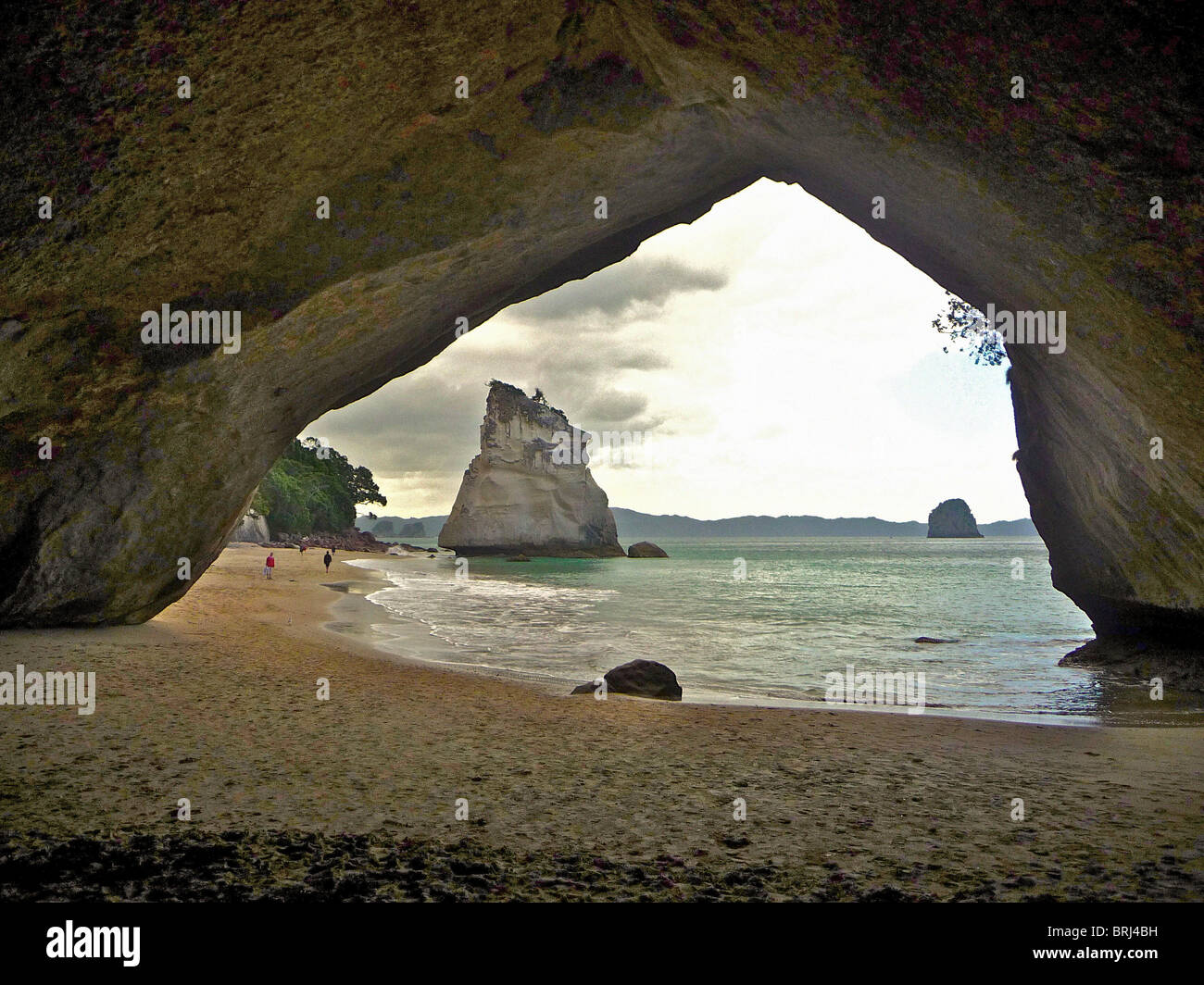 Accessible only on foot or by boat, famous Cathedral Cove is one of the ...