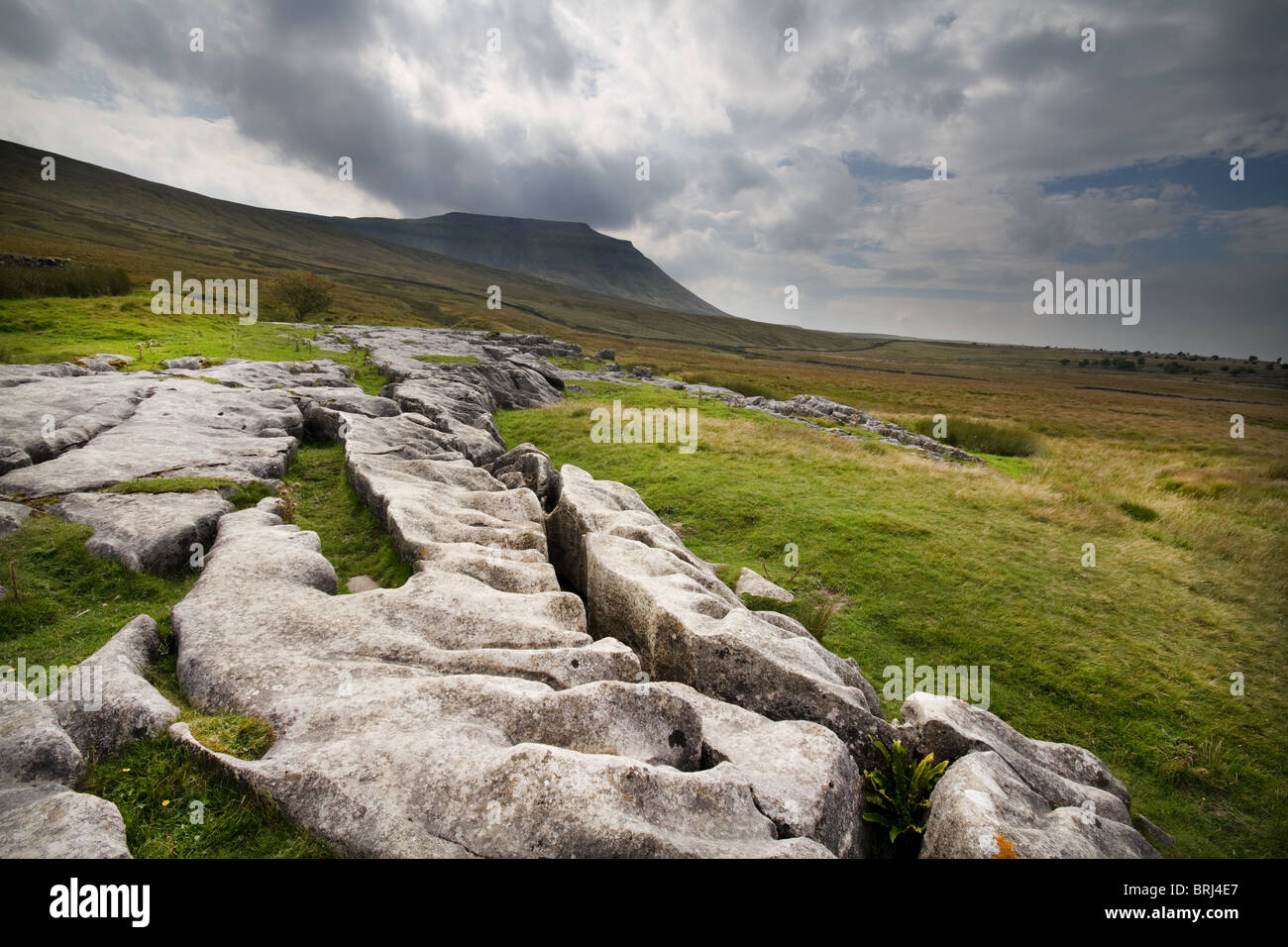 Limestone barren hi-res stock photography and images - Alamy