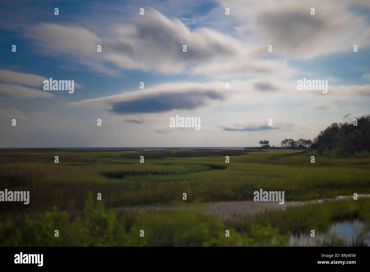 Florida night stars hi-res stock photography and images - Alamy