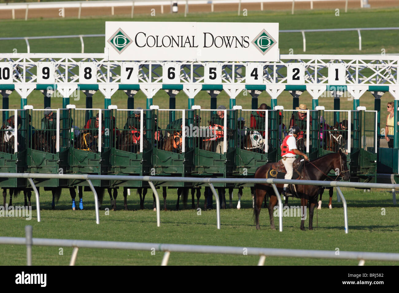 Race horses starting gate hi-res stock photography and images - Alamy