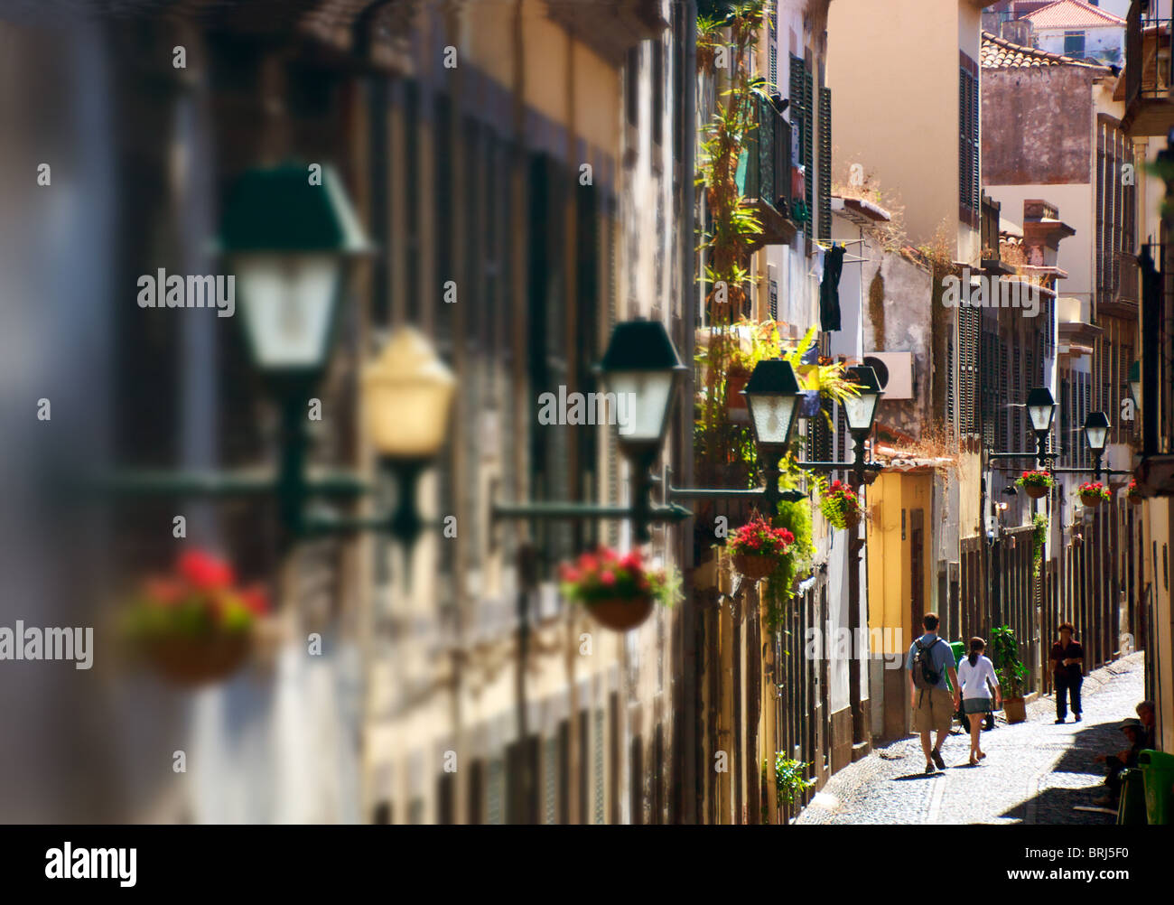 Madeiran town hi-res stock photography and images - Alamy