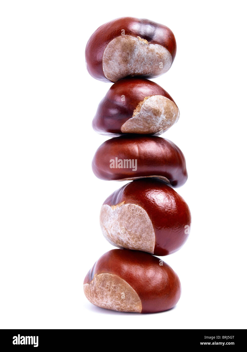 Stack of wild chestnuts isolated on a white background Stock Photo - Alamy