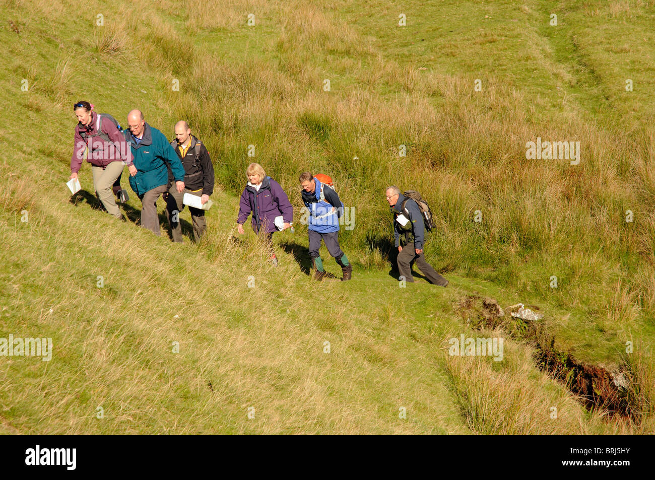 Group of people walking on Walkhampton Common Dartmoor National Park in ...