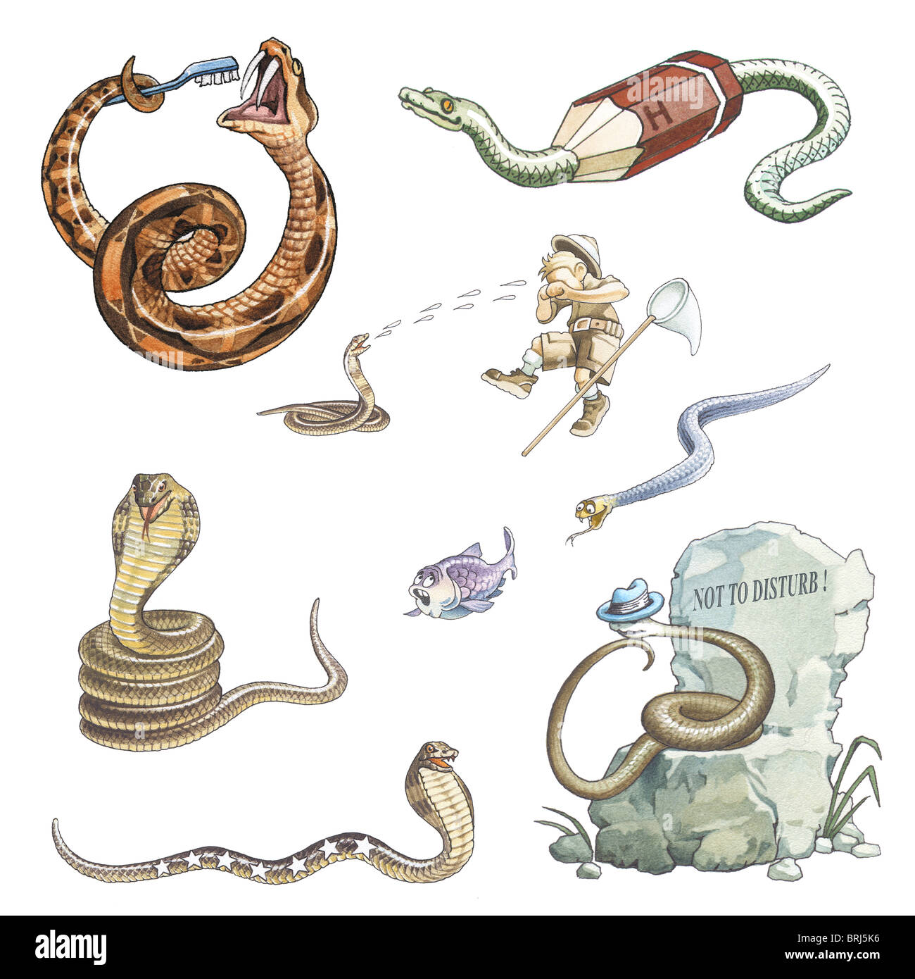 The far side cartoon hi-res stock photography and images - Alamy