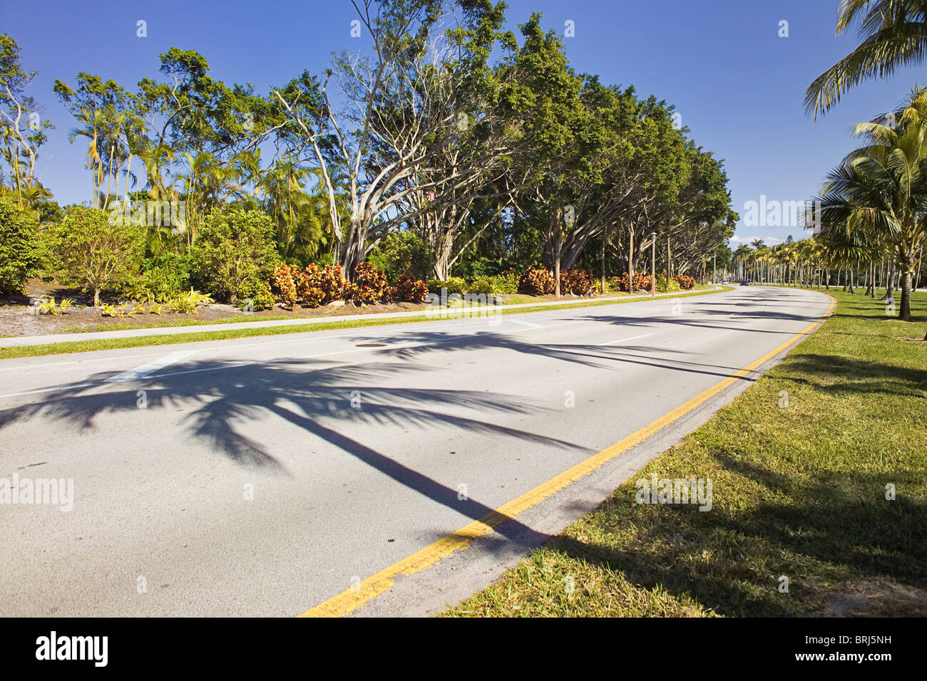 open empty road and shadows Stock Photo - Alamy