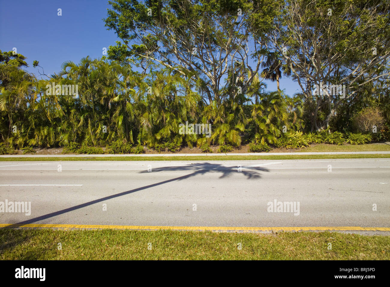 empty road shadow Stock Photo - Alamy