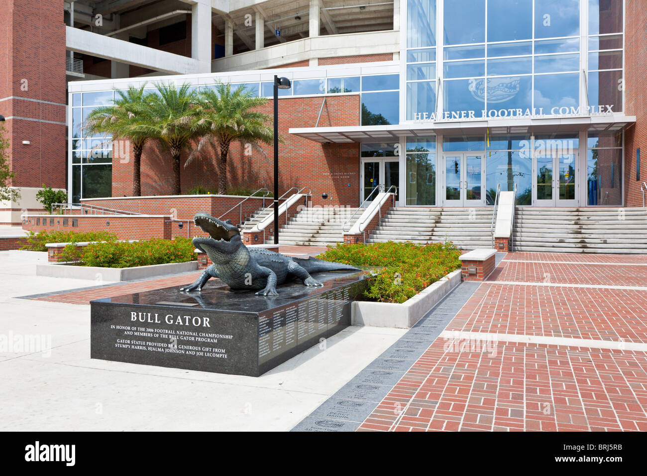 Bull Gator statue on Bull Gator Plaza in front of the Heavener Football ...