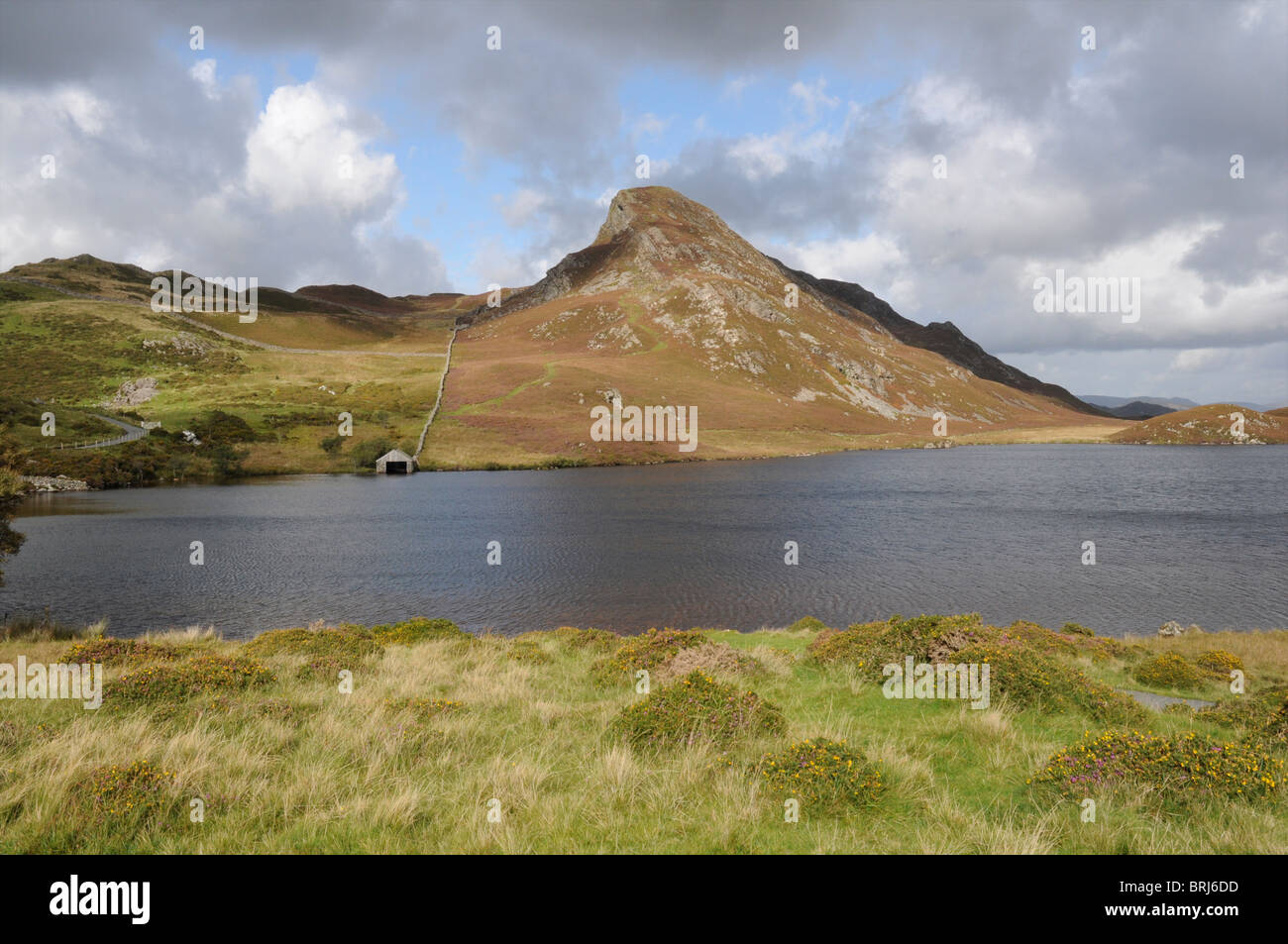 Cregennan Lakes, Gwynedd, Wales, UK Stock Photo - Alamy
