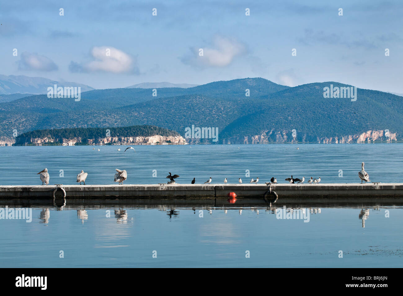 Looking across Prespa lake at Psaradhes, Macedonia, Northern Greece ...