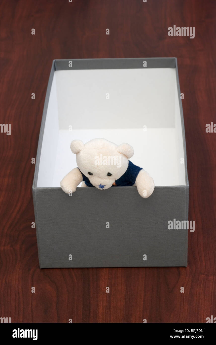 toy bear in box Stock Photo - Alamy