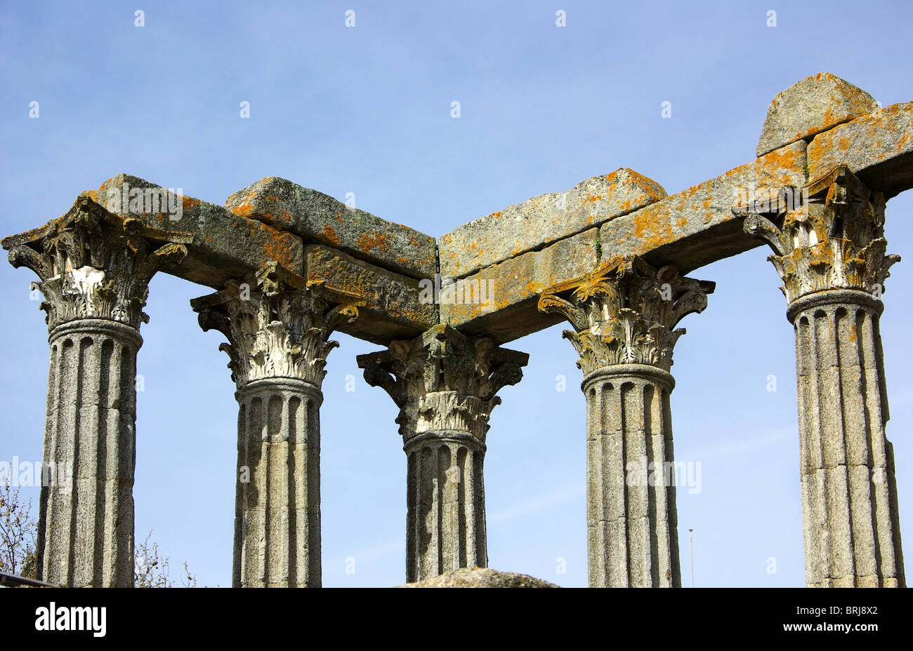 Classic classical columns civilization archeology hi-res stock ...