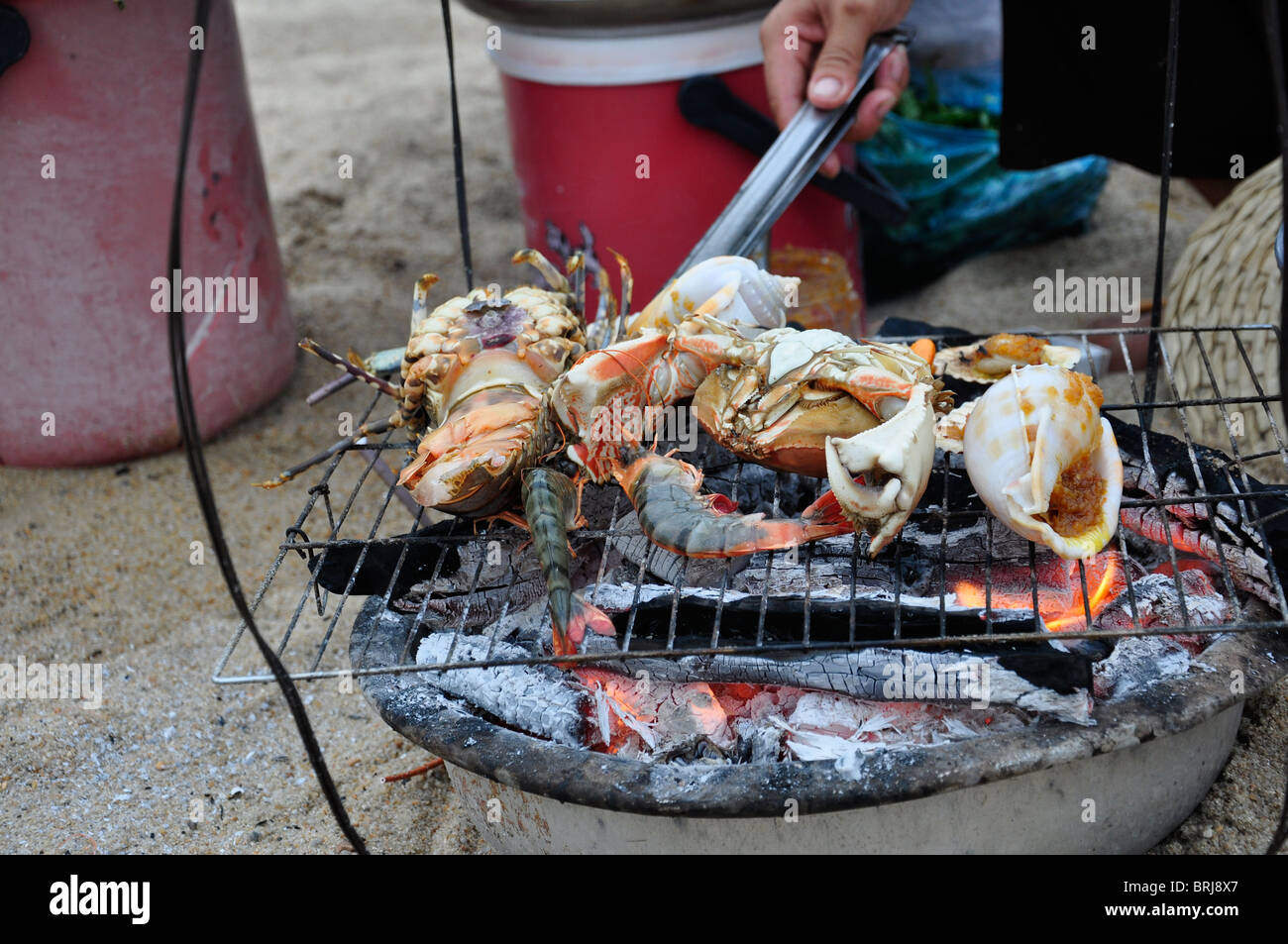 Various shellfish on the grill at the beach in Nha Trang in Vietnam ...