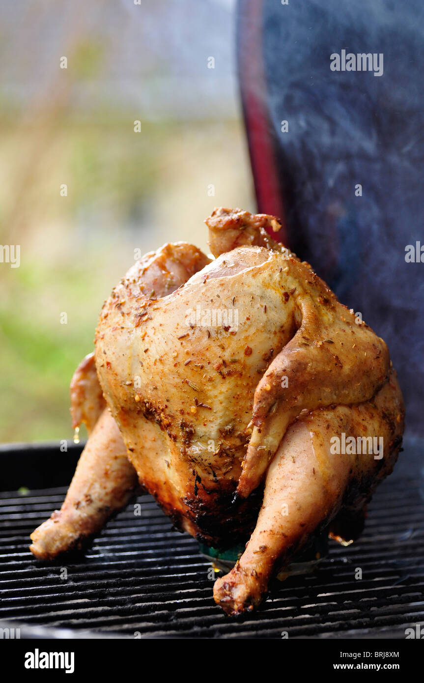 Swedish chicken hi-res stock photography and images - Alamy