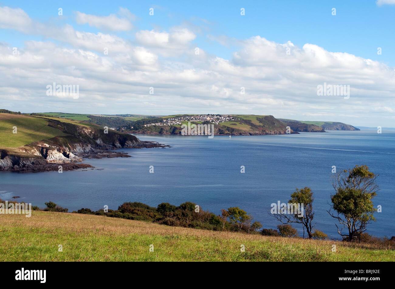 Gribben head hi-res stock photography and images - Alamy