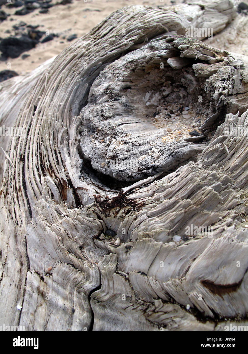 Knot pattern in dried out driftwood log Stock Photo - Alamy