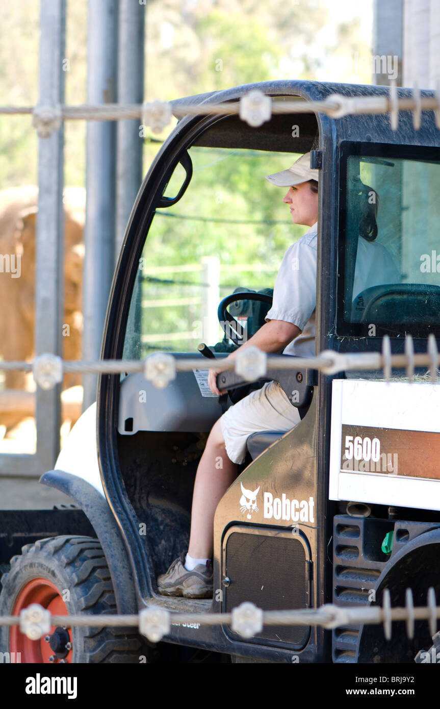 Zoo worker hi-res stock photography and images - Alamy