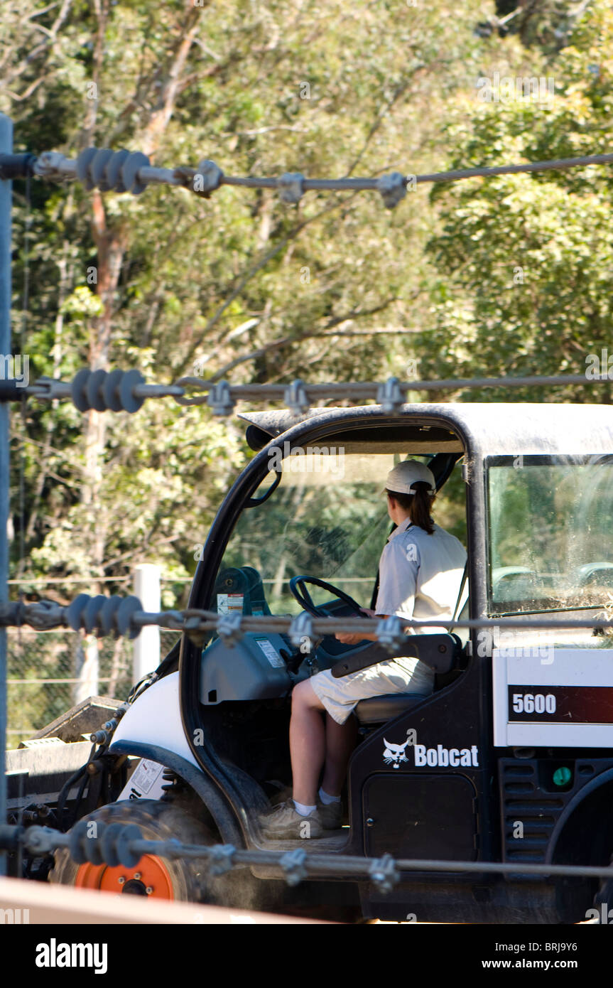 Zoo worker hi-res stock photography and images - Alamy