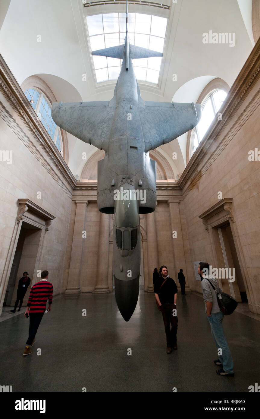 Fiona banner harrier hi-res stock photography and images - Alamy