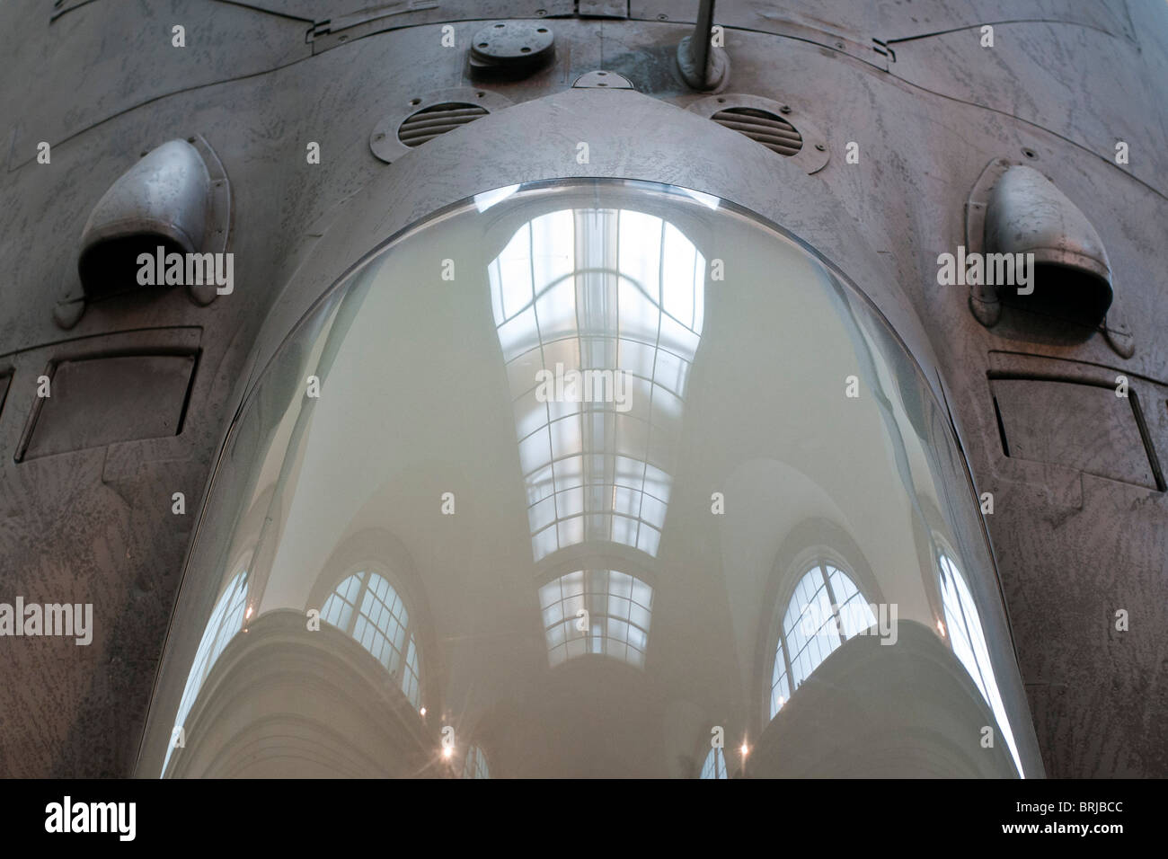 Fiona banner harrier hi-res stock photography and images - Alamy