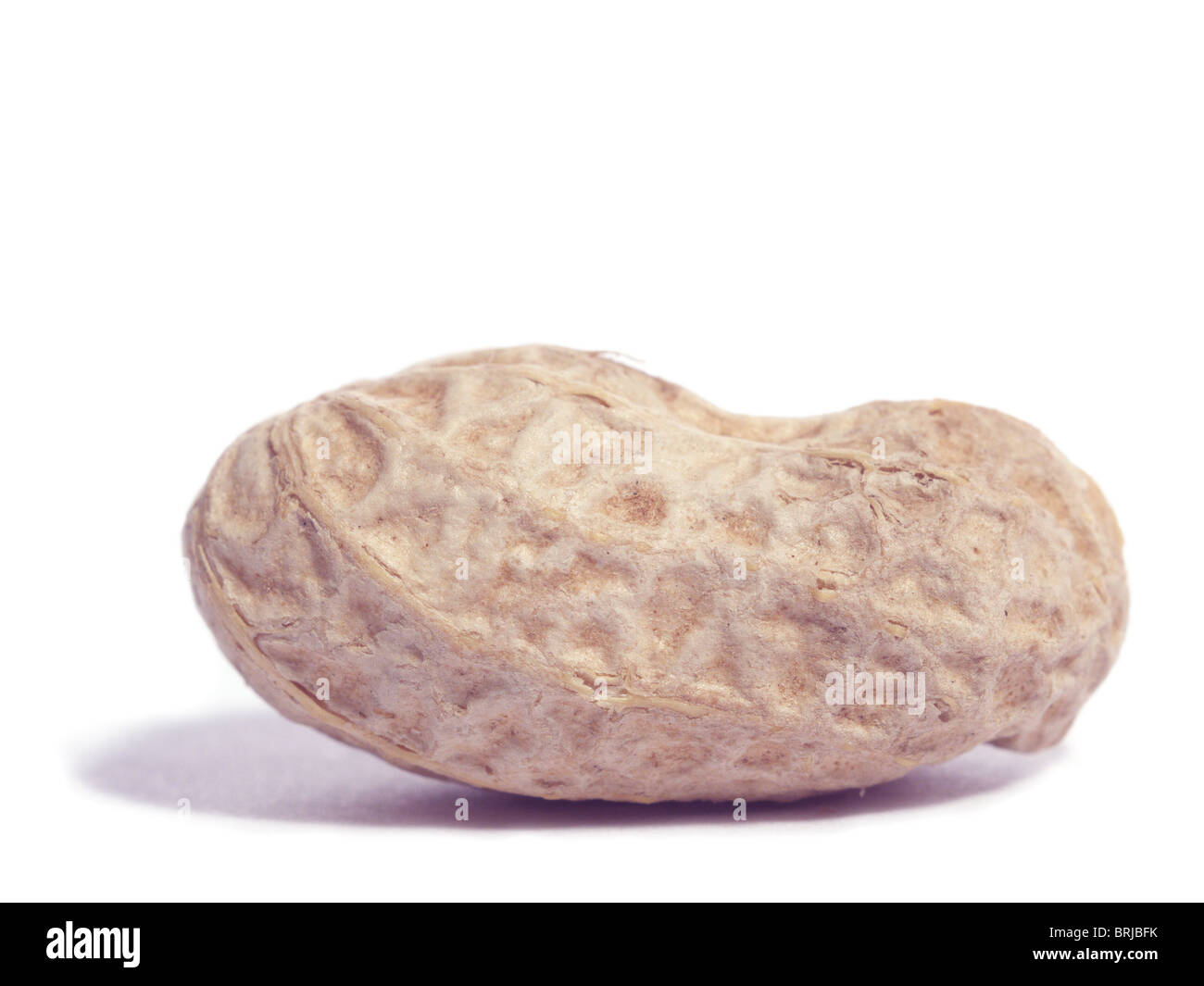 Single peanut isolated on white Stock Photo - Alamy