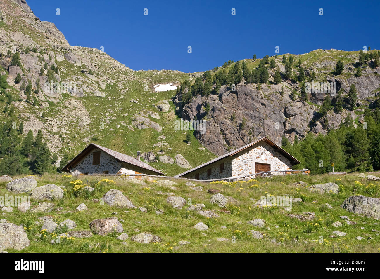 summer landscape of alpine pasture with two typical stone homes Stock ...