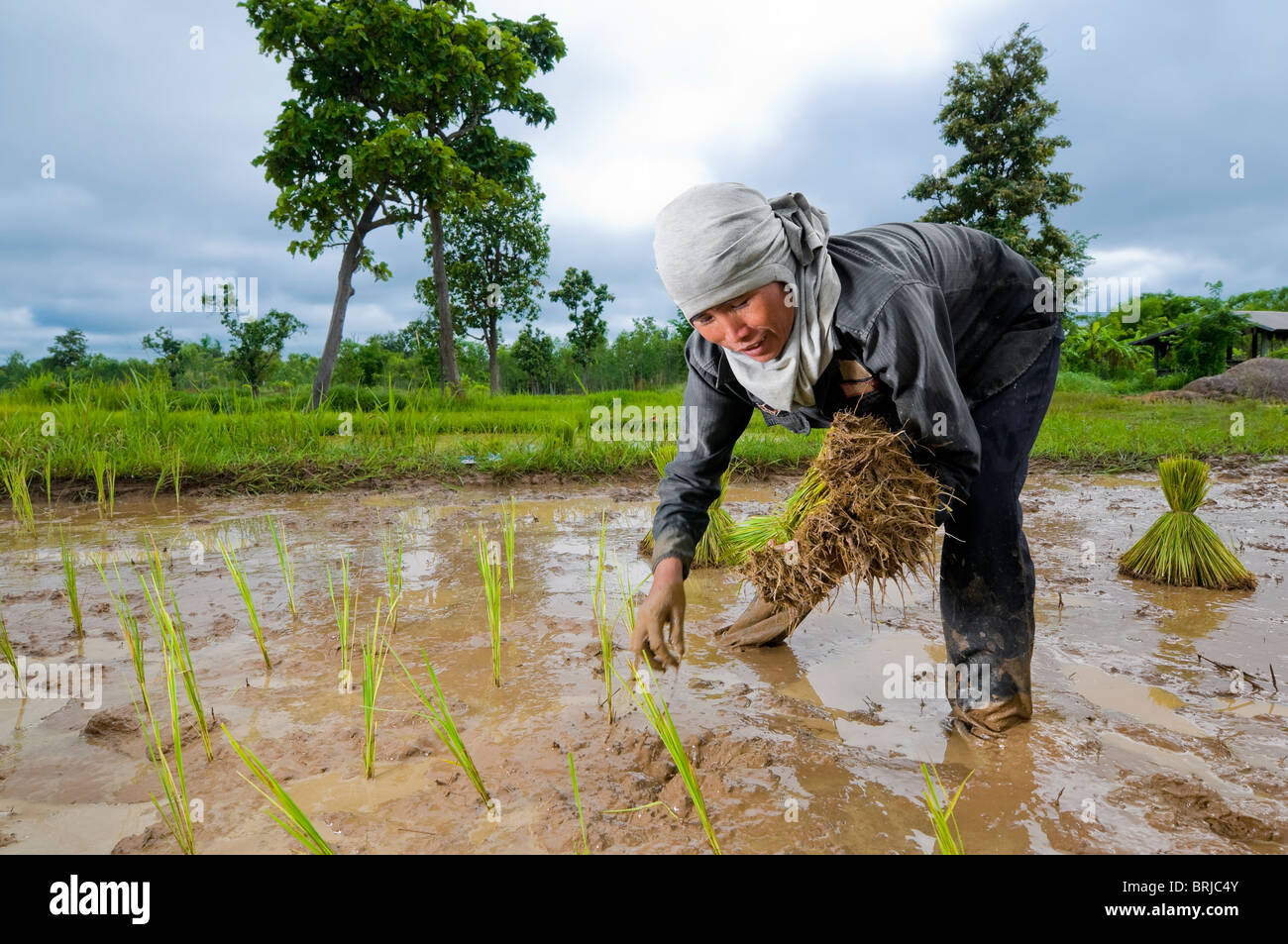 Hard Working Farmer