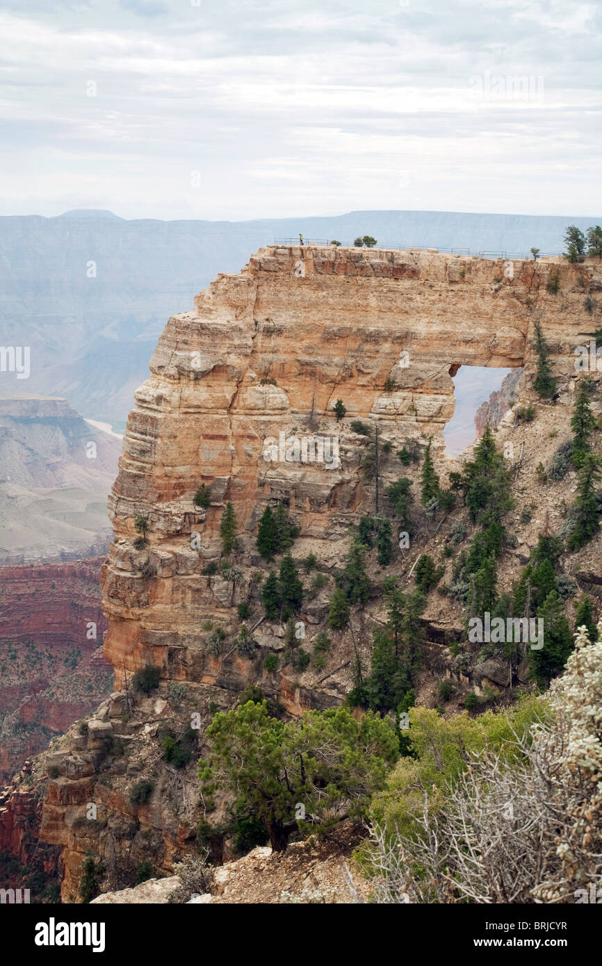 Angels Window, Cape Royal, Grand Canyon North Rim, Arizona, USA Stock ...