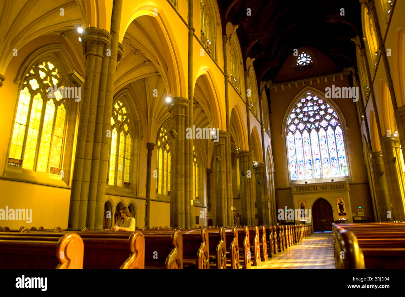 St patrick’s cathedral east melbourne hi-res stock photography and images - Alamy
