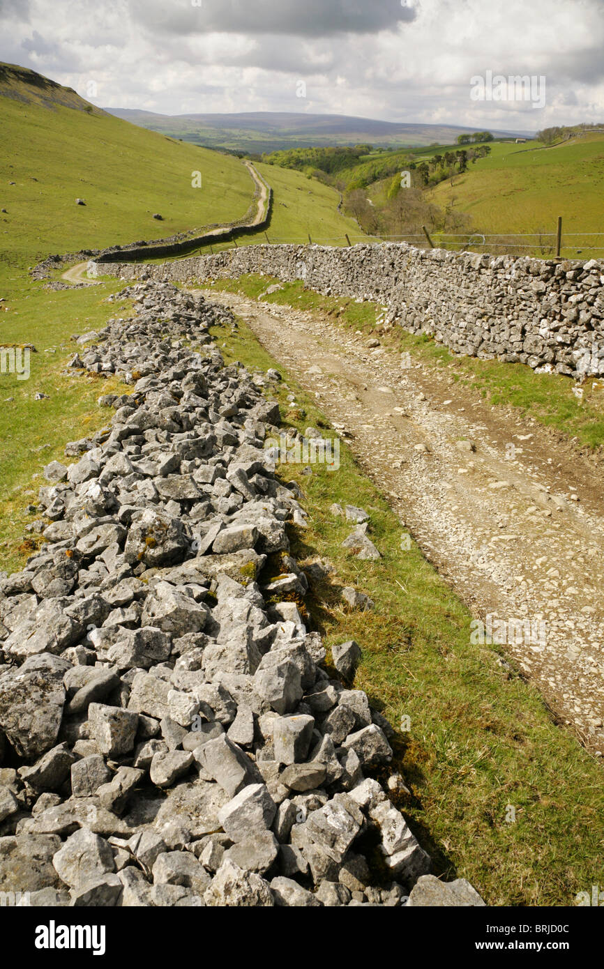 Collapsed dry stone wall alongside track near Clapham in the Yorkshire ...