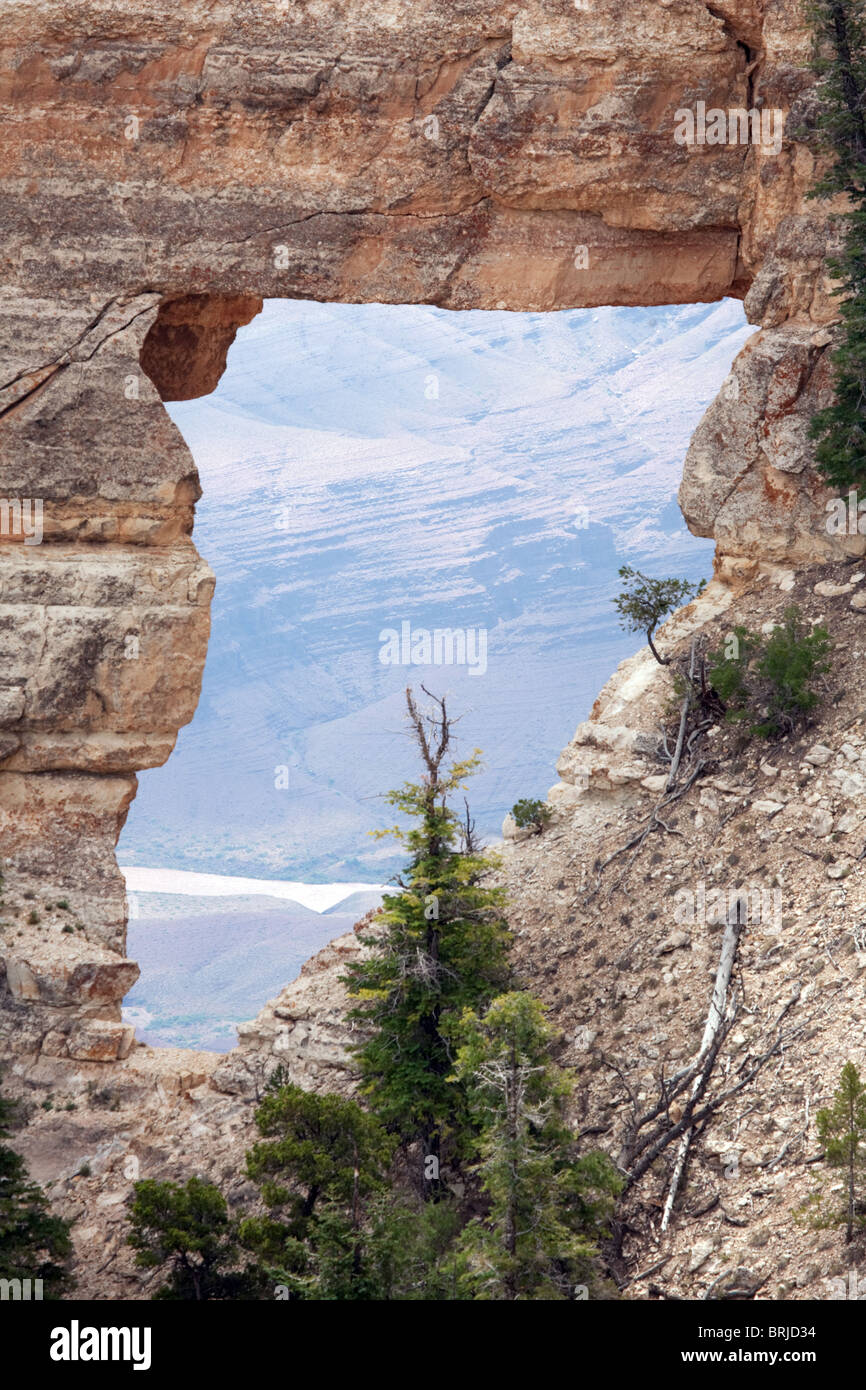 The Colorado River seen through Angels Window, Cape Royal, Grand Canyon ...