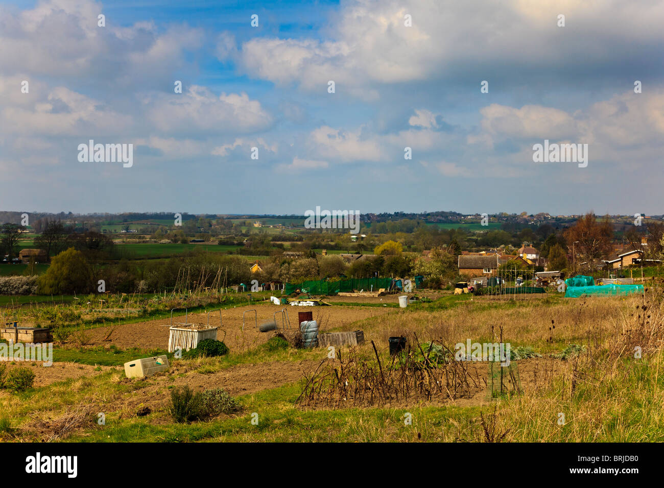 A view across the allotments to the Bedfordshire Countryside at the ...