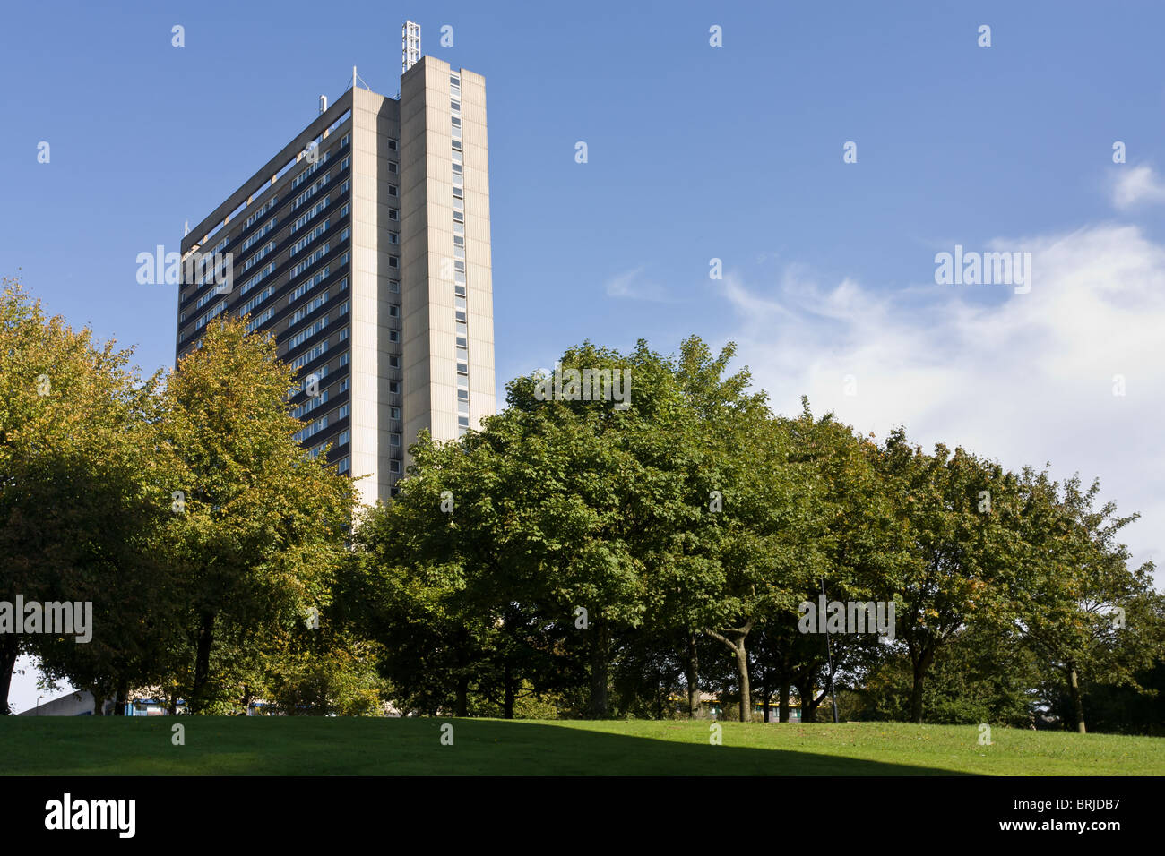 Tower block above Cruddas park shopping centre to be renamed ...