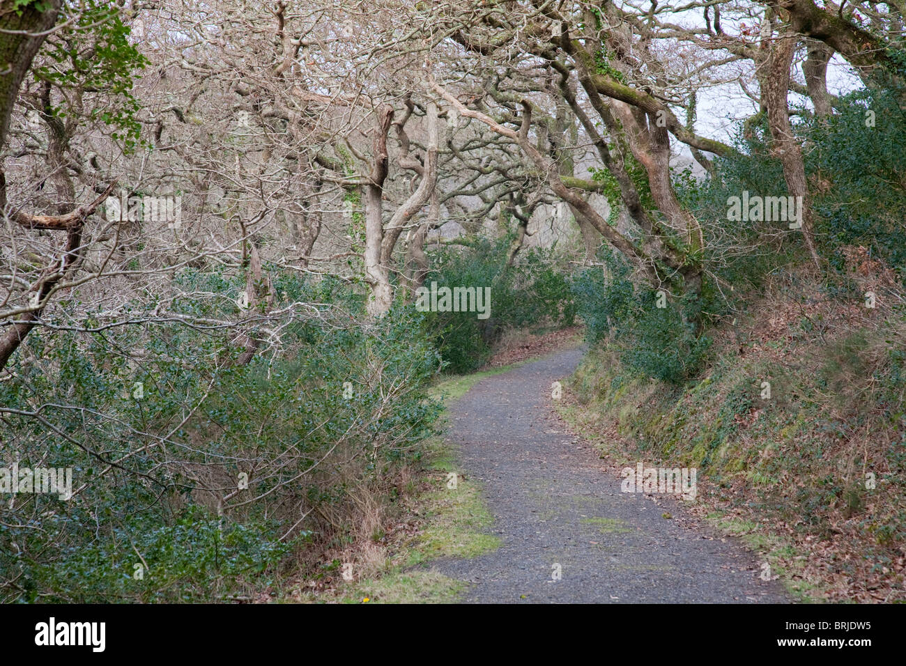 Tremayne hi-res stock photography and images - Alamy
