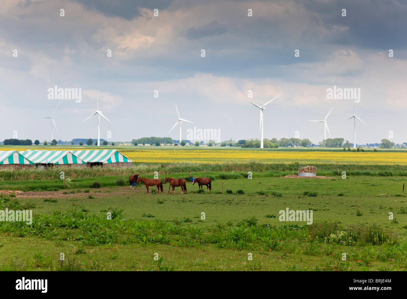 Coldham hi-res stock photography and images - Alamy