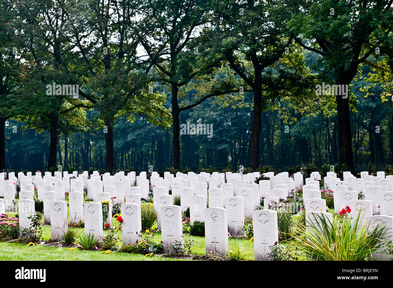 Arnhem oosterbeek war cemetery hi-res stock photography and images - Alamy