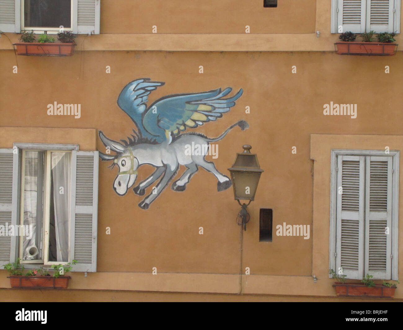 Winged donkey hi-res stock photography and images - Alamy