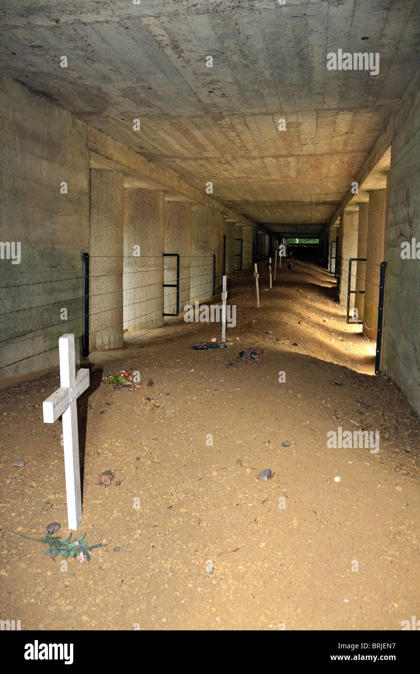 Battle of verdun bones hi-res stock photography and images - Alamy