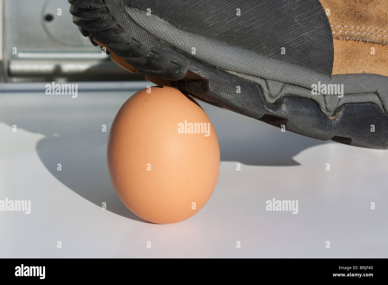 the egg during the boot in the separated image Stock Photo - Alamy