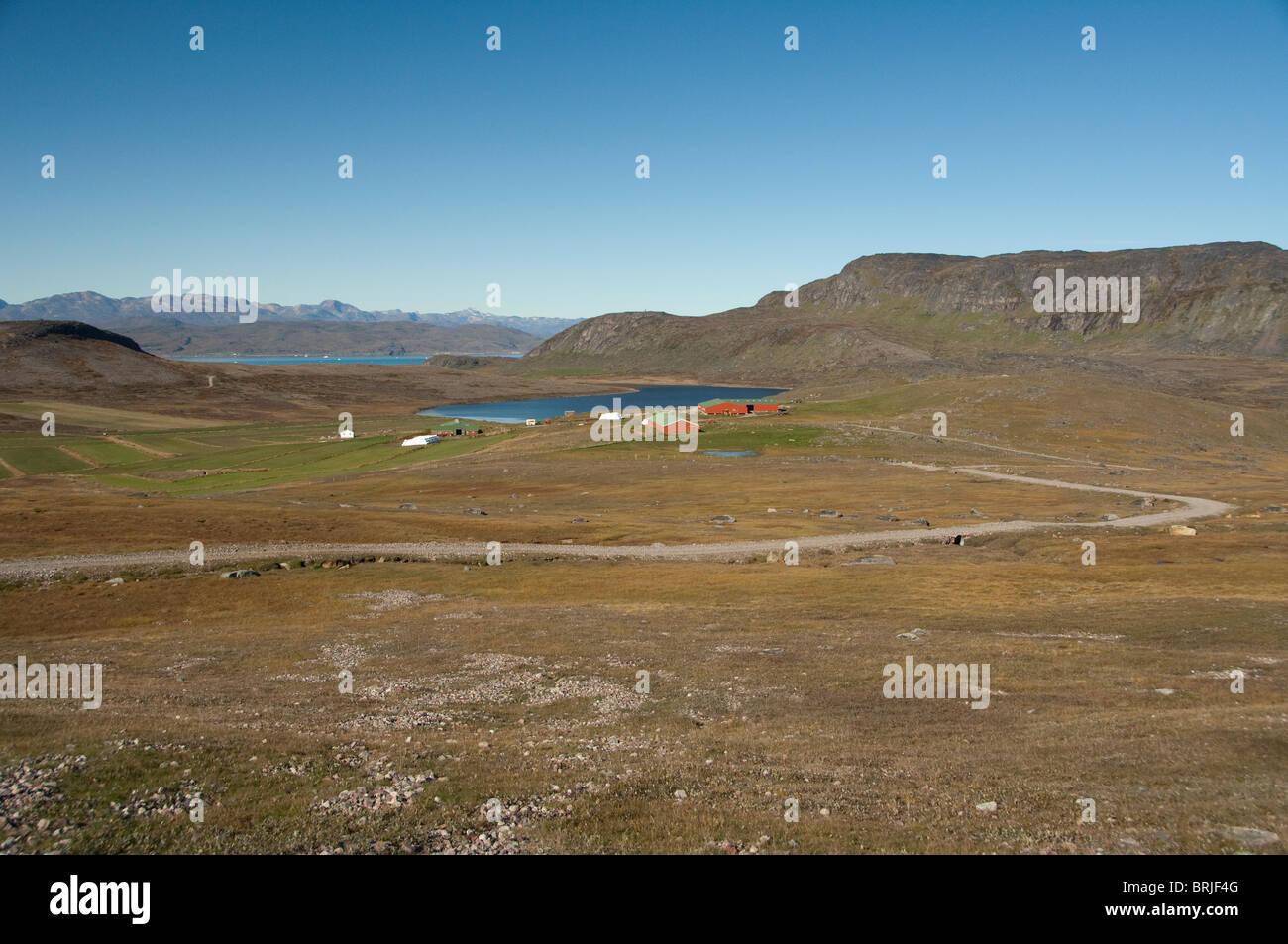 Greenland, Small farming community of Itilleq located along Erik's ...